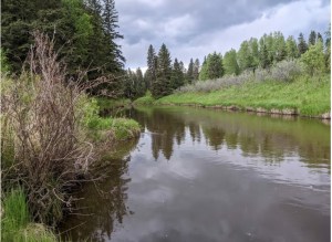 The Medicine River Watershed Society – Monitoring, Advocating ...